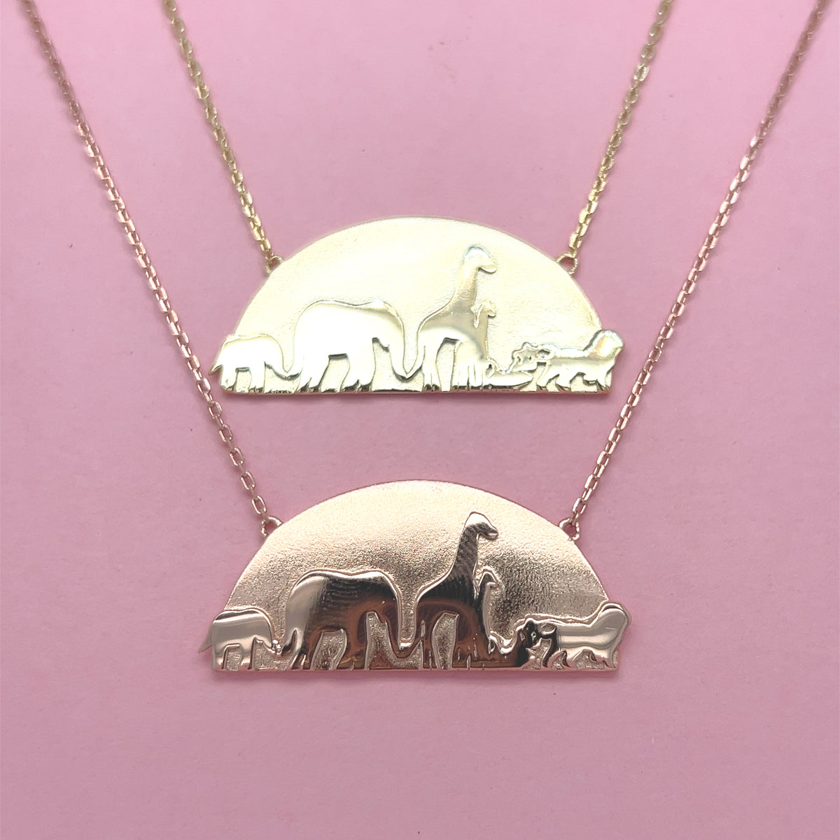 LIMITED EDITION Circle of Life Necklace – Two Park Princesses